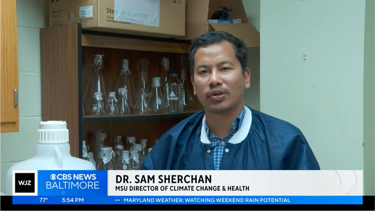 School of Computer, Mathematical & Natural Sciences